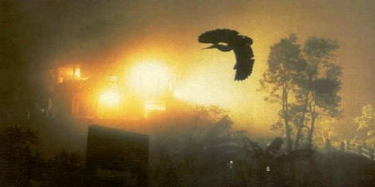 The Unbelievable Mass Suicide of Birds! Have You Ever Heard of Jatinga?