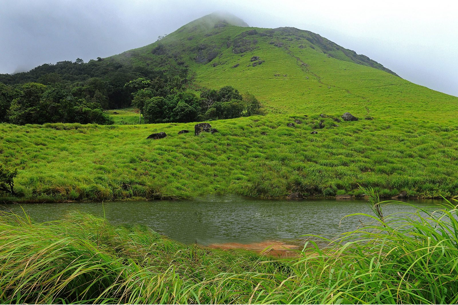 The Most Stunning Beautiful Place For Nature Lovers In India - Chembra Peak