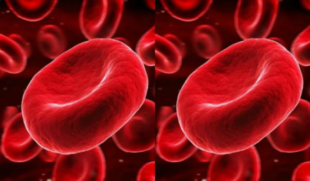 The Rare of The Rarest Blood Group You Never Knew