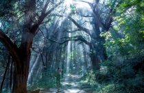 Here's How You Can Unwind at Chennai's Bessy Beach - Lifeandtrendz