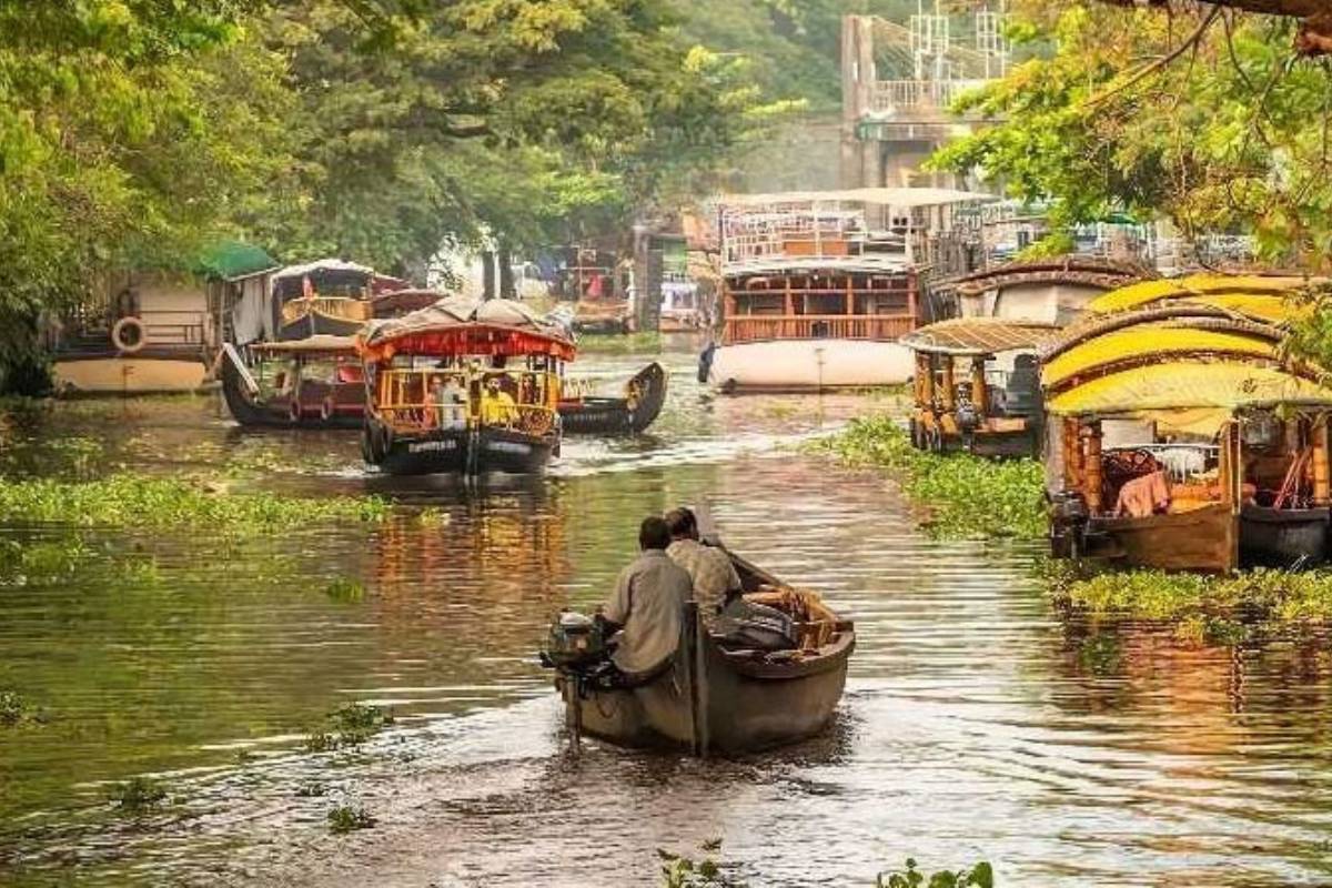 Wayanad Travel Guide 2026: Kerala's Green Paradise Beckons Nature ...