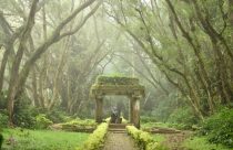 Vagamon Travel Guide 2026: Kerala's Hidden Gem That Every Traveler Must ...